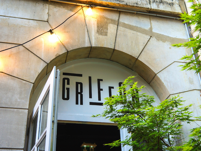 Griffon